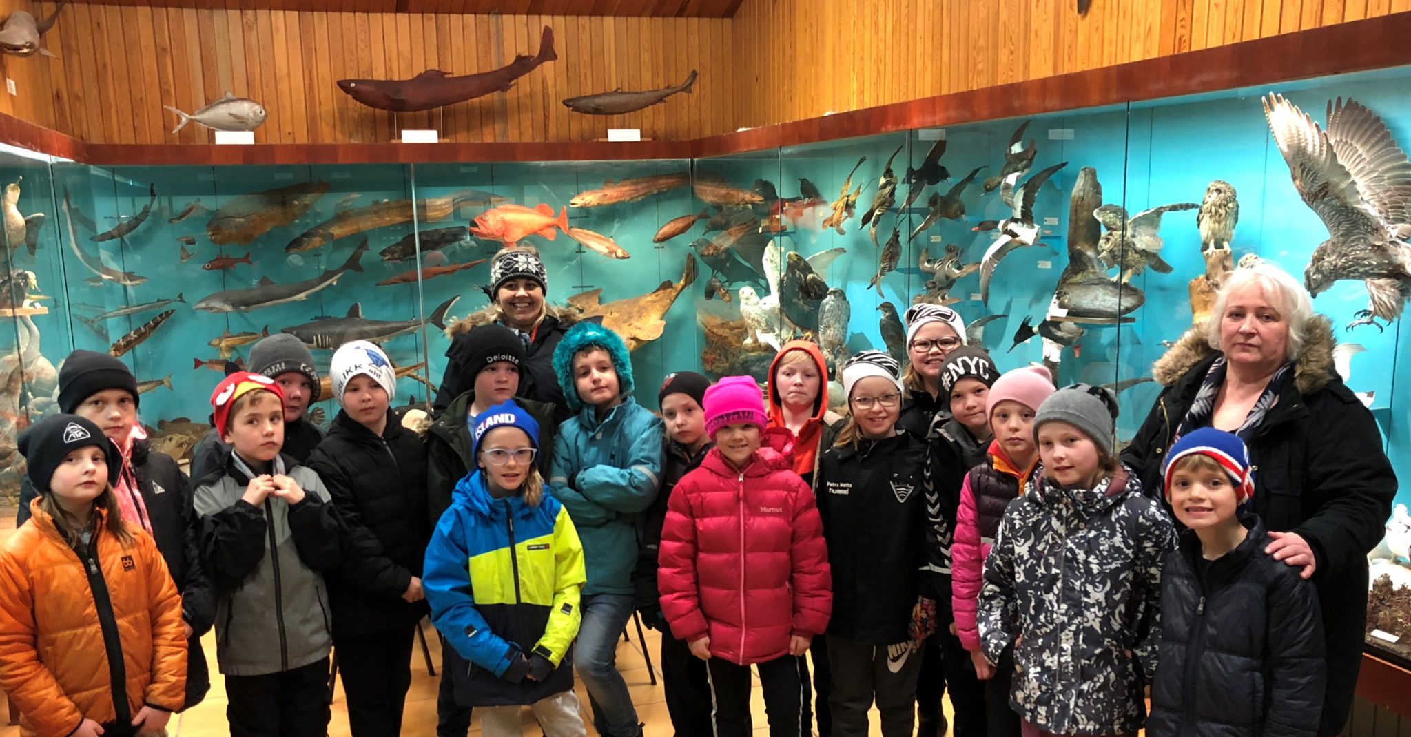 Sæheimar – Fuglar, fiskar og plöntur í Sæheimum - SASS